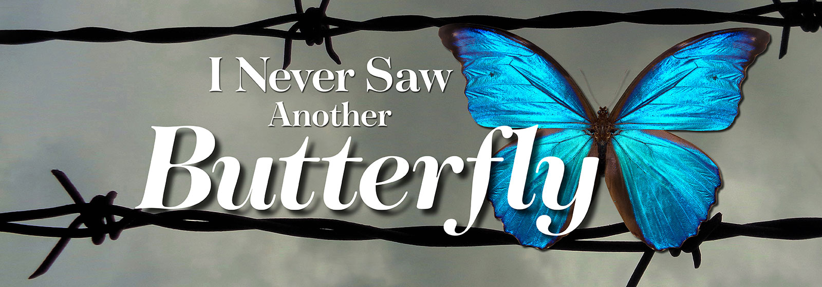 I Never Saw Another Butterfly | Wake Forest Renaissance Centre